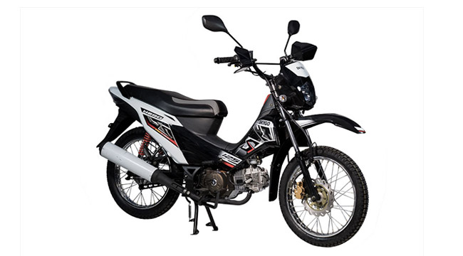 Skygo Hero 125 2026, Philippines Price, Specs & Official Promos | MotoDeal